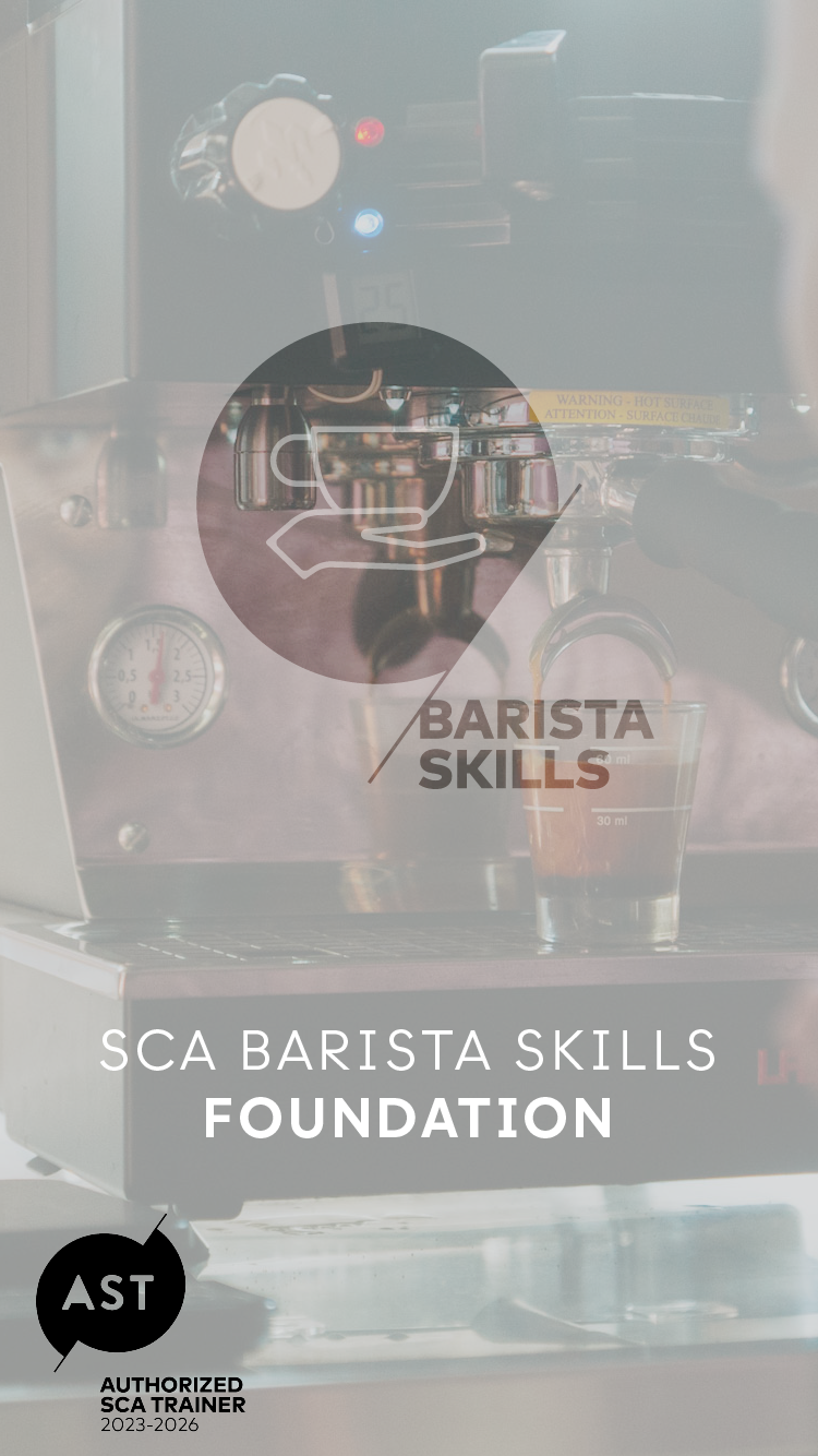 SCA Accredited Courses - Seam Coffee