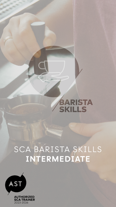 SCA Accredited Courses - Seam Coffee