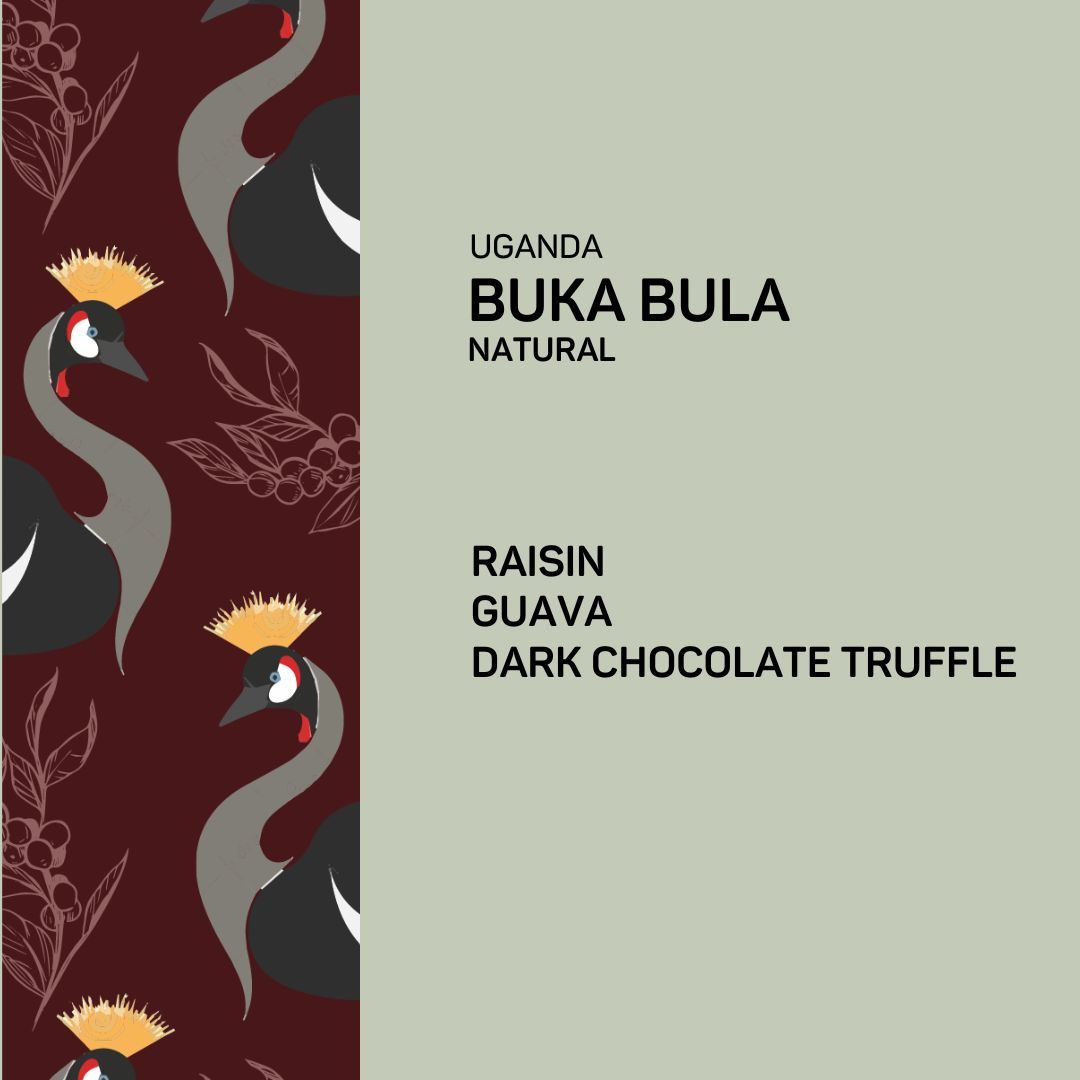 Specialty Coffee - Seam Coffee