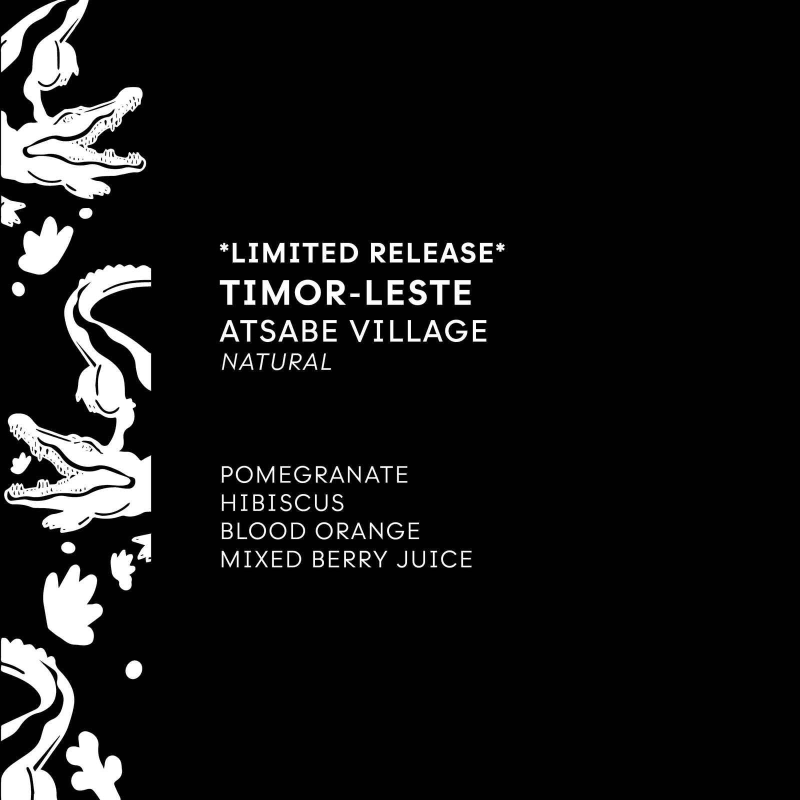 Specialty Coffee - Seam Coffee